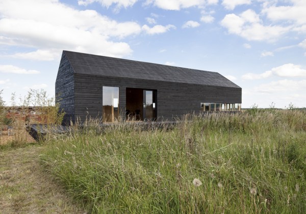 Stealth Barn | Termite Head